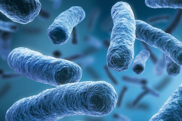 Institut für Pathologie · kkle.de